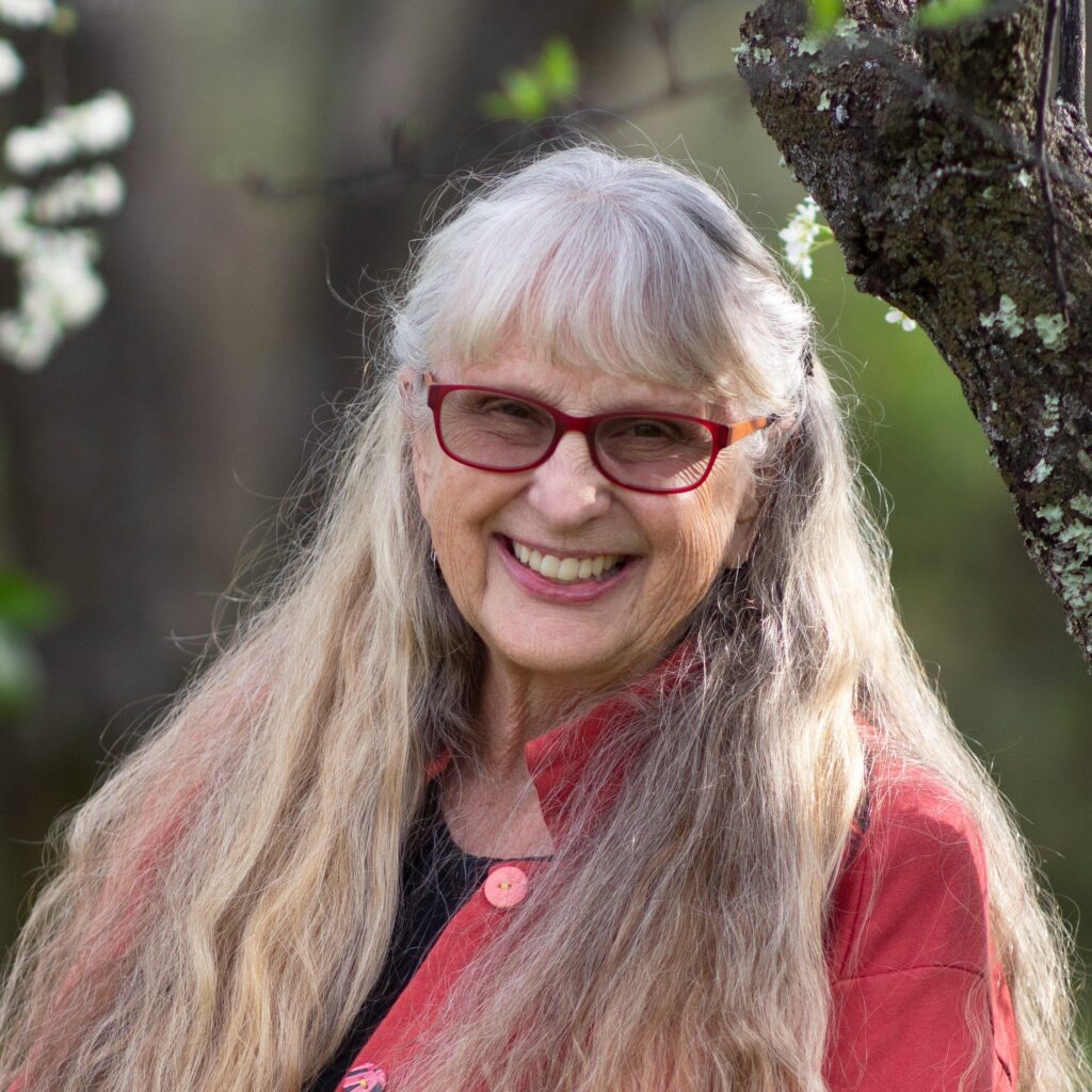 Team - Placer Artists Tour